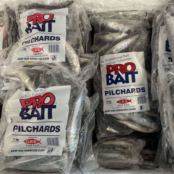 Pro bait pilchards 1kg – Best Deal @ D star fishing tackle Mount Albert